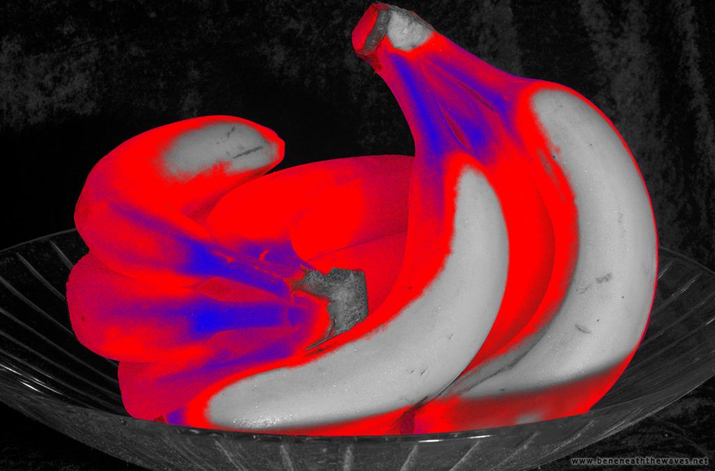 Colour Isolation Using Filters - Photography - Beneath the Waves