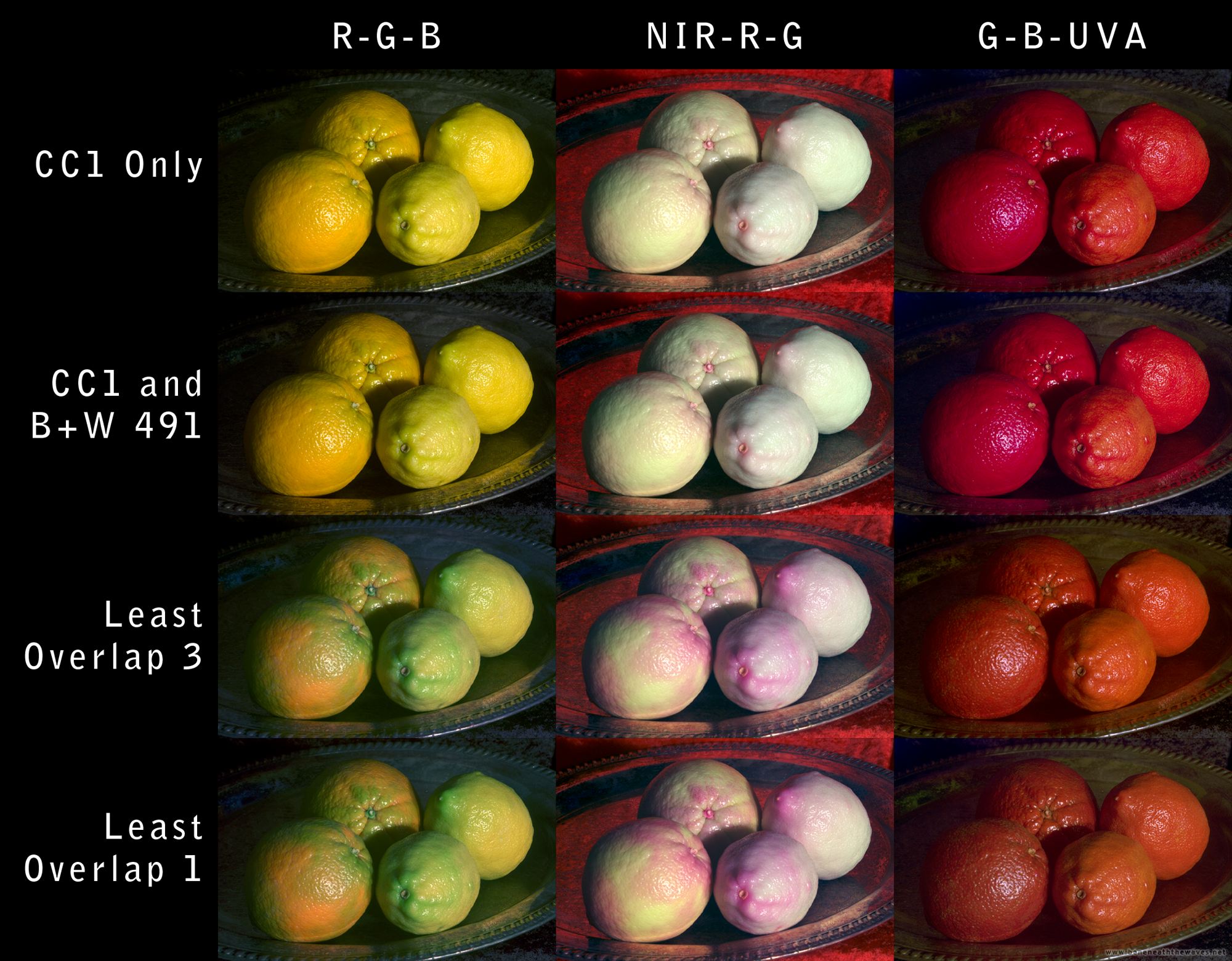 Colour Isolation Using Filters - Photography - Beneath the Waves