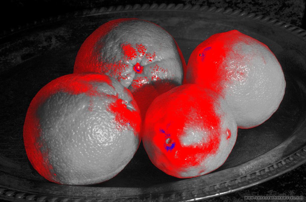 Colour Isolation Using Filters - Photography - Beneath the Waves