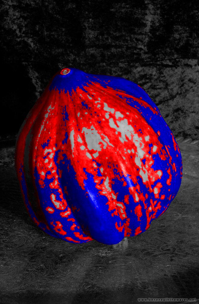 Colour Isolation Using Filters - Photography - Beneath the Waves