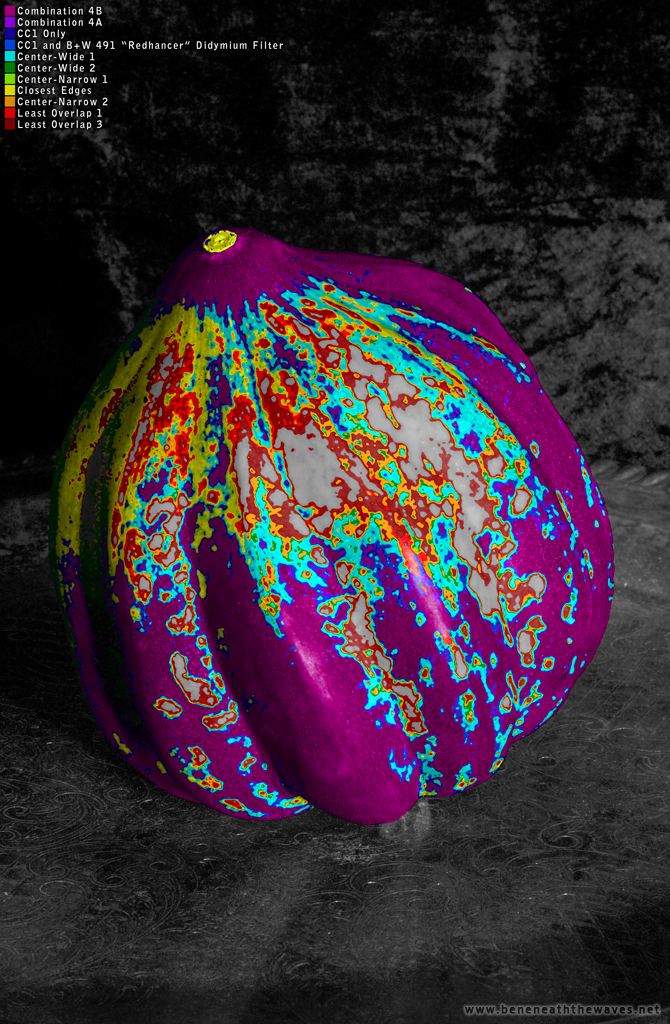 Colour Isolation Using Filters - Photography - Beneath the Waves